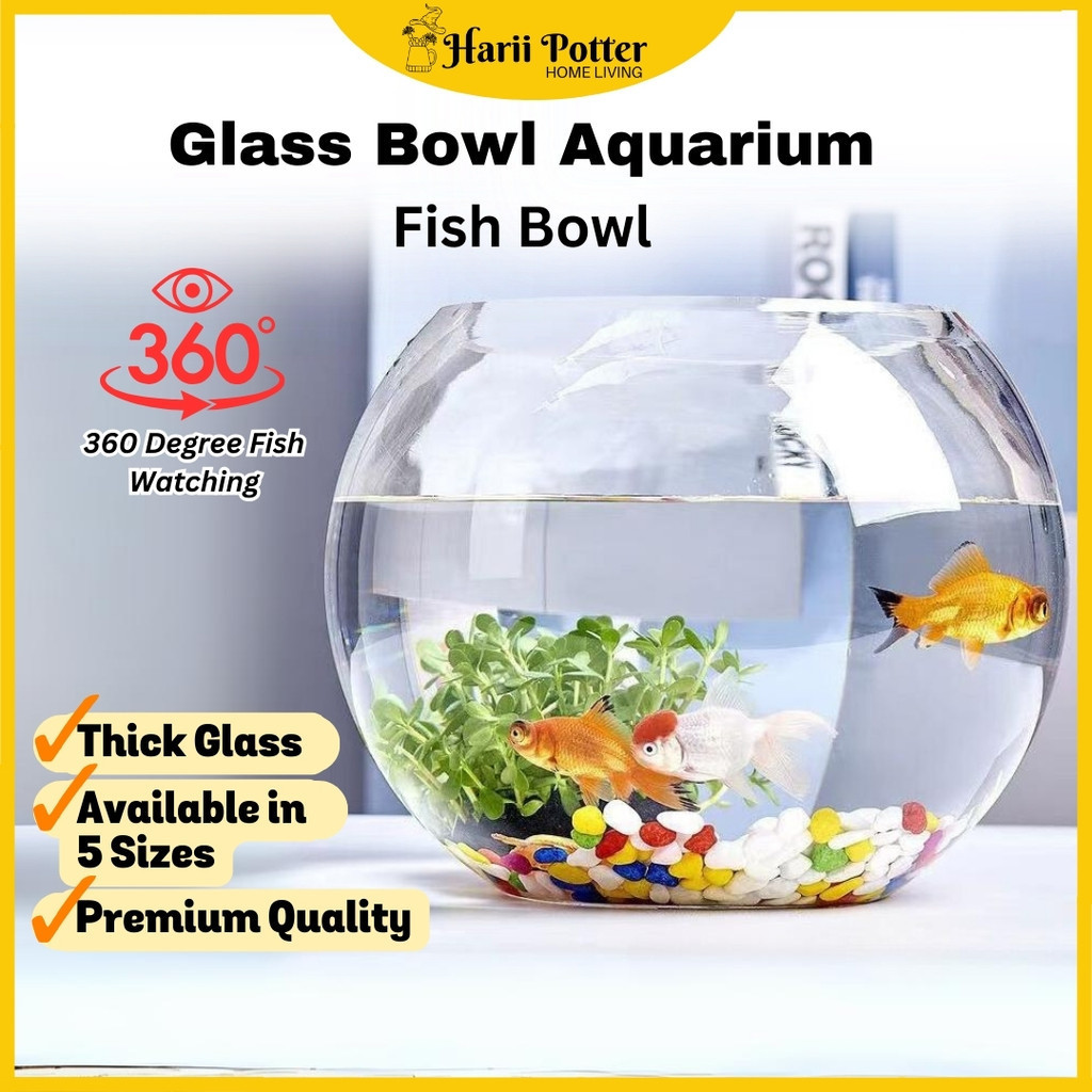 Clear Round Glass Vase Pot For Small Fish Bowl Aquarium Tank Flower Pot ...