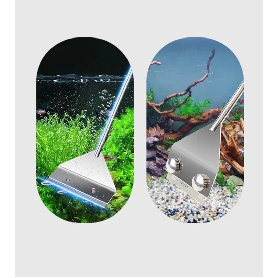 Algae Scraper for Glass Aquariums, Fish Tank Cleaner, Aquarium Algae ...