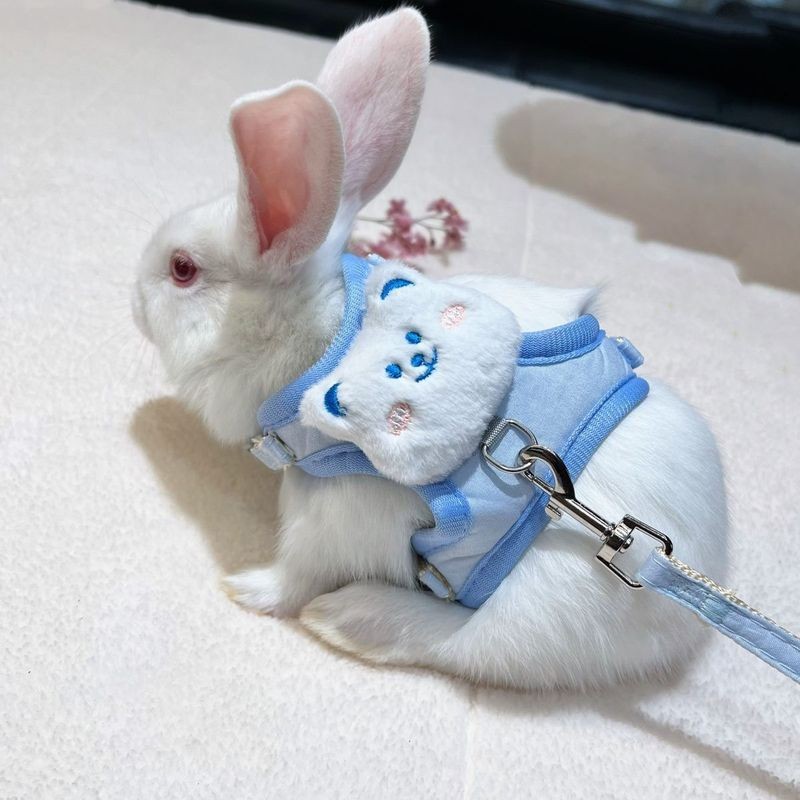 Bunny Traction Rope Adjustable Anti-breakaway Rabbit Rope Pet Rabbit ...