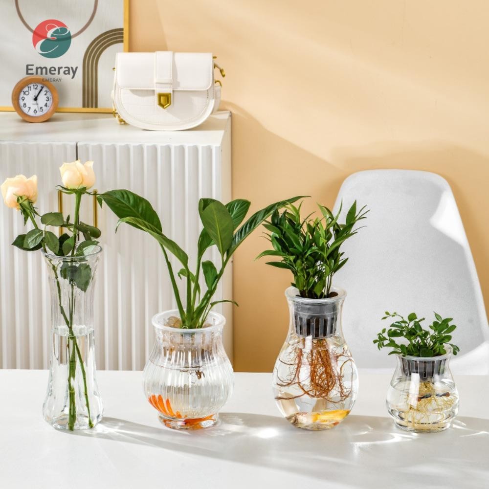 EMERAY Self-absorbing Flower Pots, Transparent Vase Succulents ...