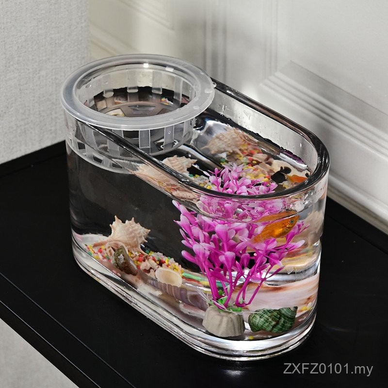 Plant Transparent Glass Desktop Aquaculture Simple Fish Tank Fish Tank ...