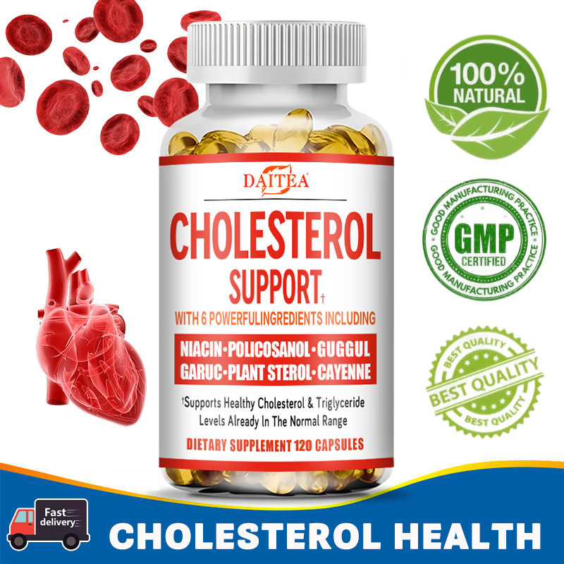 Cholesterol Support Supplement - Promotes Healthy Heart and Liver ...