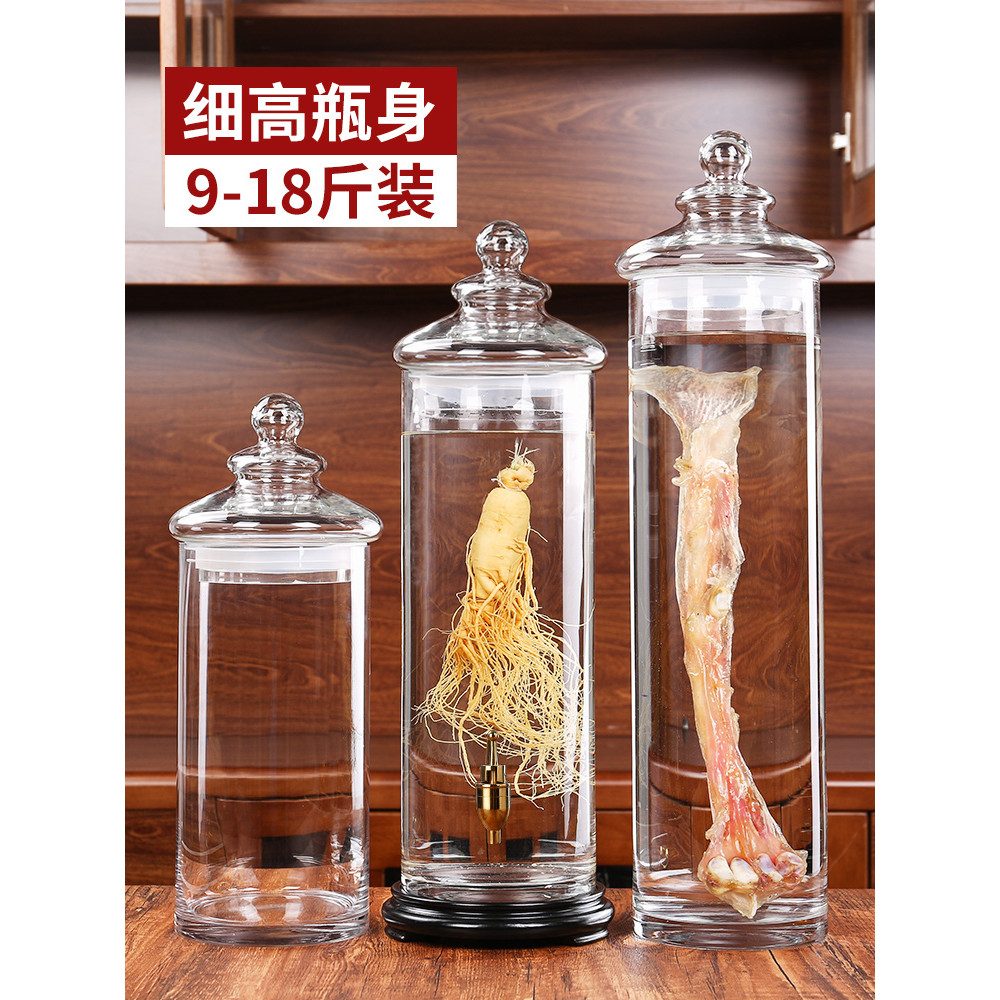 Botol Kaca untuk Merendam Wain dengan Spigot, Ginseng Tanduk Rusa ...