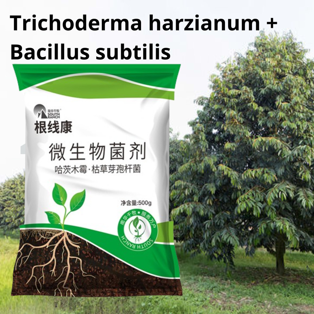 Trichoderma Harzianum / Bacillus Subtilis 根线康枯草芽孢杆菌 哈茨木霉菌 复合微生物菌 Tricho Root Acti Trichoderma ...