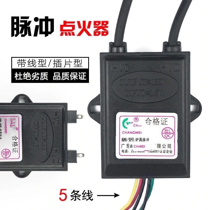 Gas Stove Igniter Two-Wire Double-Point Stove Pulse Igniter Stove ...
