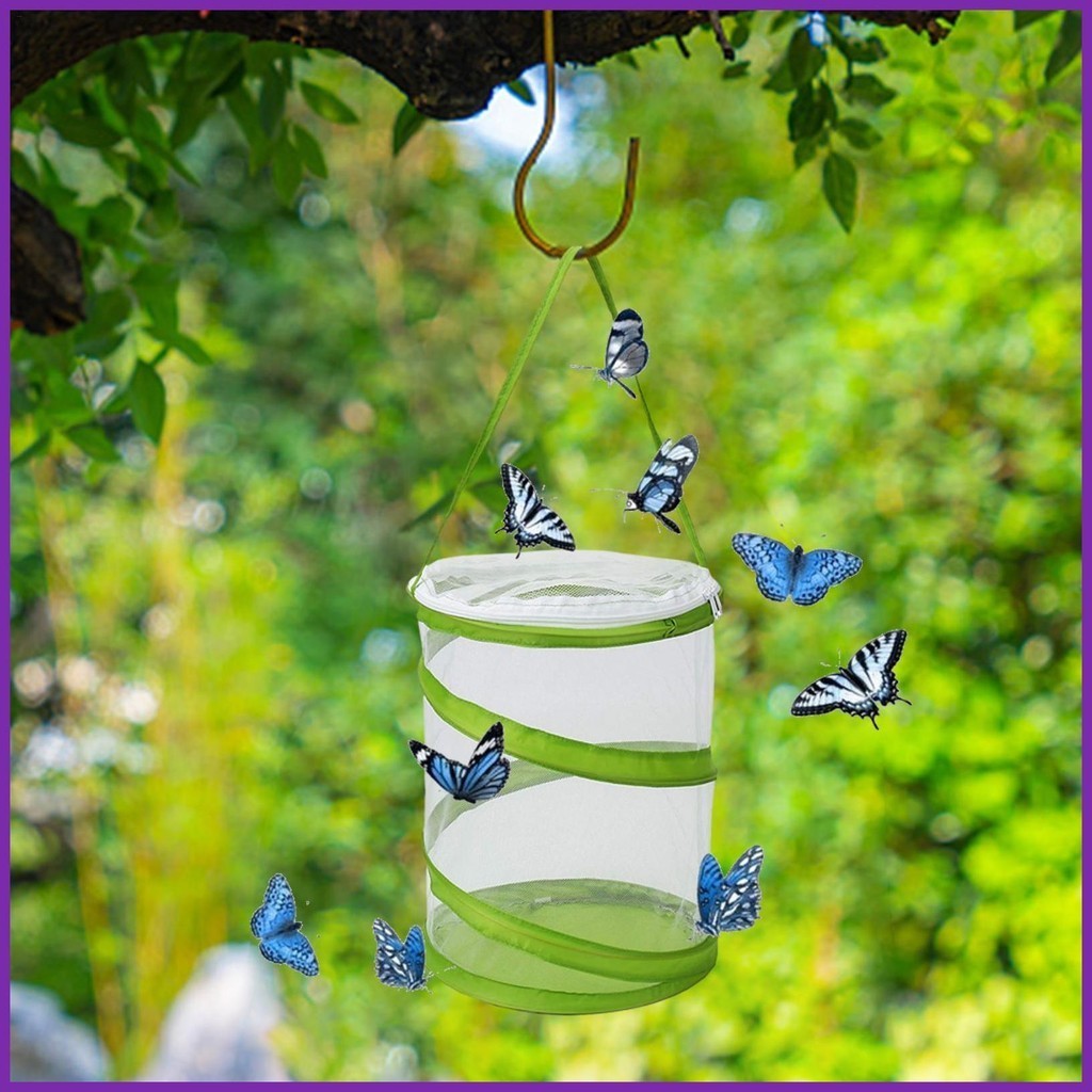 Butterfly Enclosure Mini Pop-up Mesh Cage Caterpillar Habitat See ...