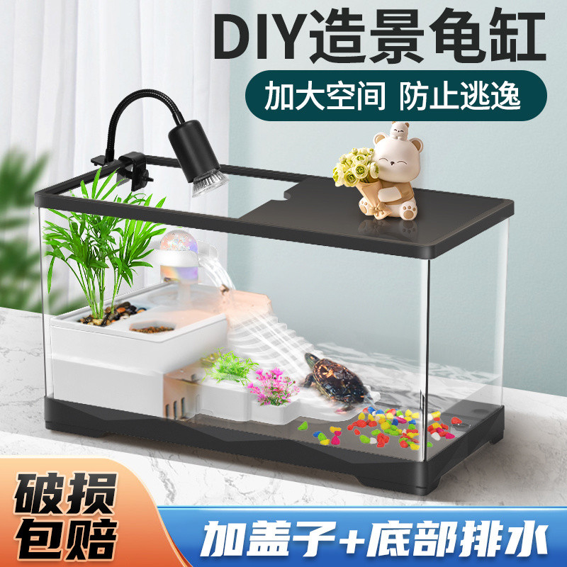 Shopee Official [within One Week 600+People Fighting Orders] Turtle ...