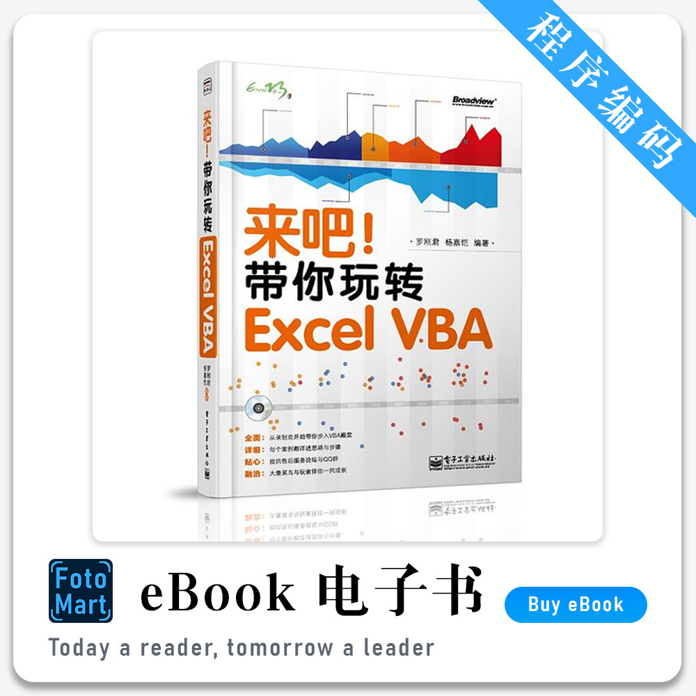 「程序编码」来吧！带你玩转 Excel Vba 中）罗刚君 杨嘉恺 适合用于20072010201320162019版本 经典畅销书籍 Excel Vba编程 Vba格式