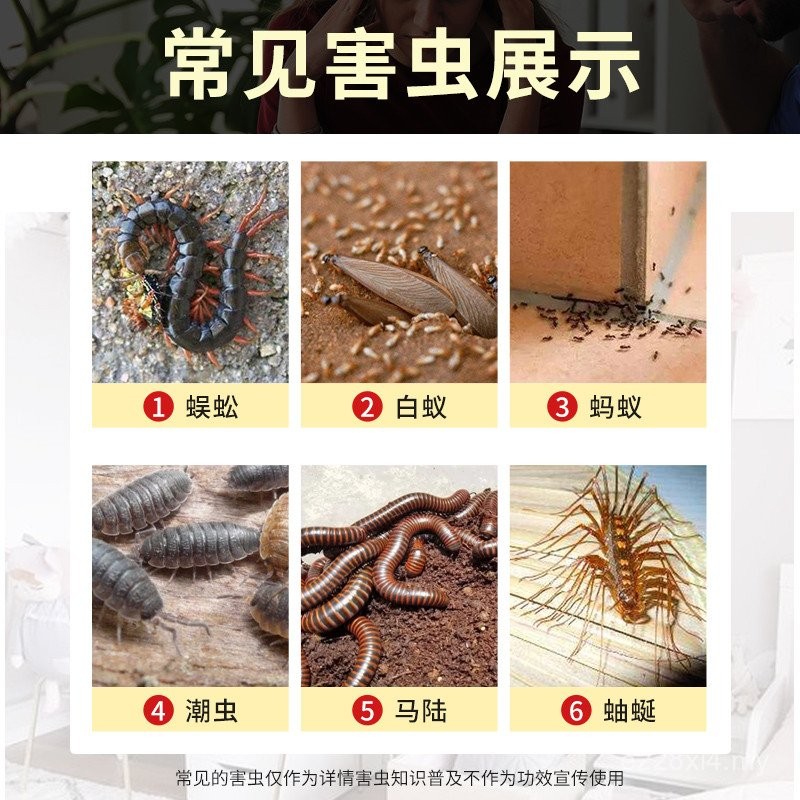 Insektisida Ansu Jepun untuk Membasmi Lipan, Cacing Tanah, Lipan ...