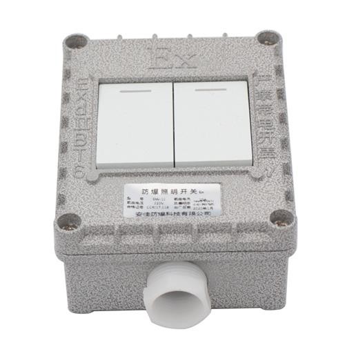 Suis Kalis Letupan Suis Dinding Kalis Letupan 220V 10A Tiang Tunggal Tiang Berkembar Dua Kawalan ...