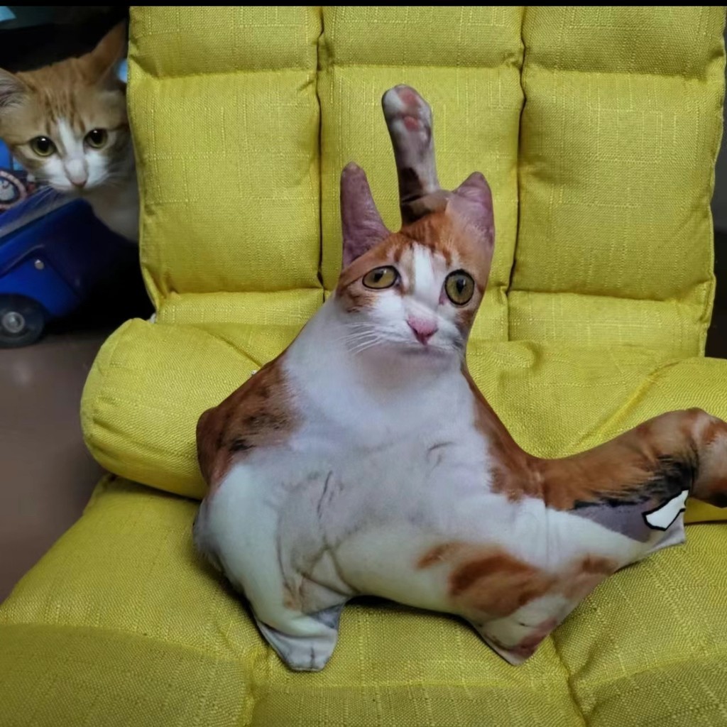 [Customization] [Ugly Cat Pillow] Ugly Pillow Tik Tok Style Pet Dog Cat ...