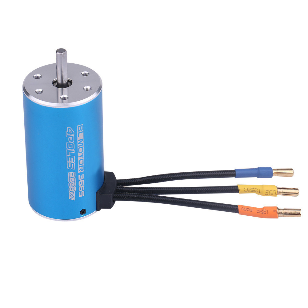Seashorehouse RC Boat Brushless Motor 4 Poles Energy-Saving Car for ...