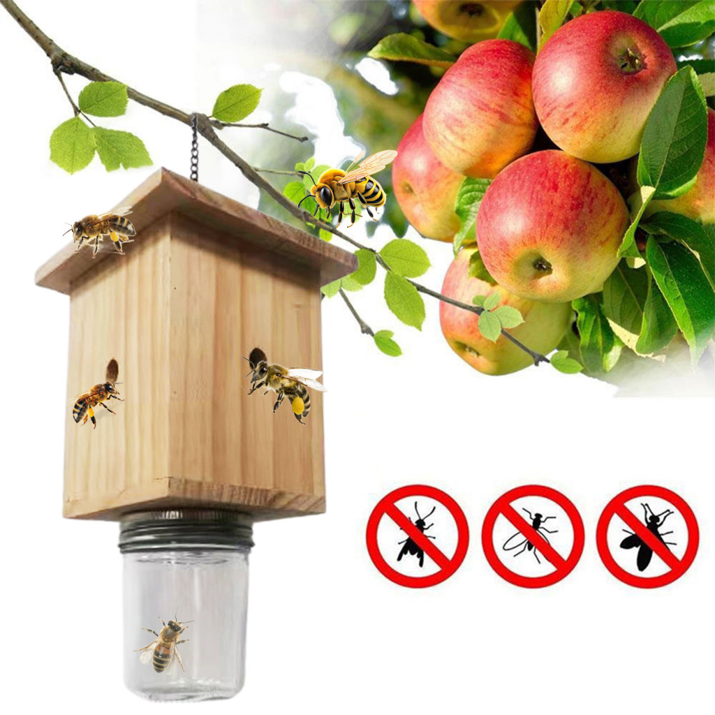 Carpenter Bee Solution Carpenter Bee Trap Cube Shape Wooden Bee Trap ...