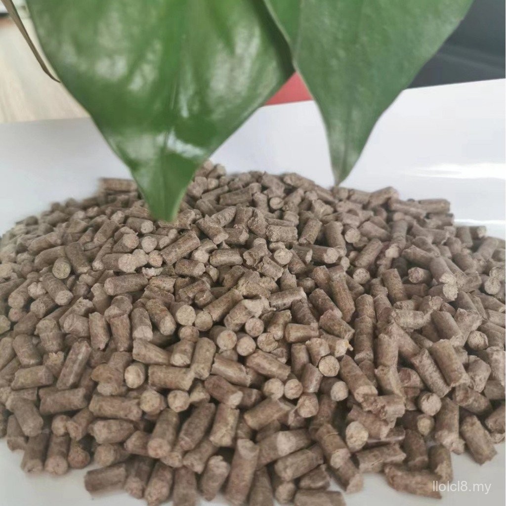 Menapai bakteria aktif soya menapai soya tanah perubahan baja buah ...