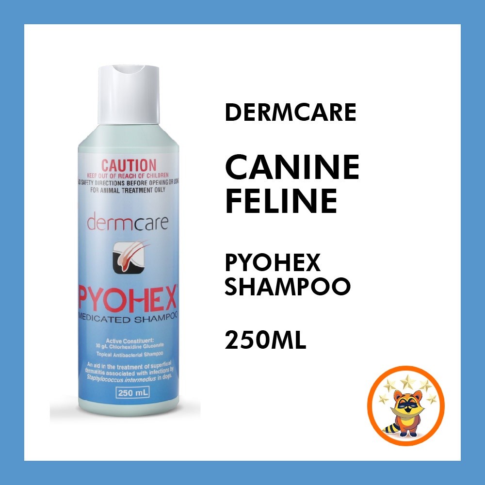 Pyohex Dermcare Shampoo 250ml Cat Kucing Dog | Shopee Malaysia