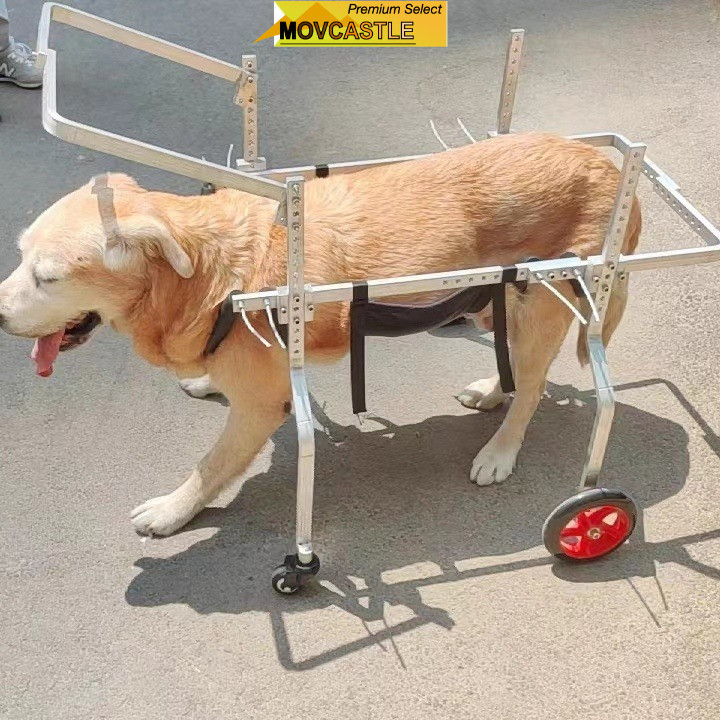Elderly Dog Disabled Dog Support stand Dog Limbs Rehabilitation Scooter ...