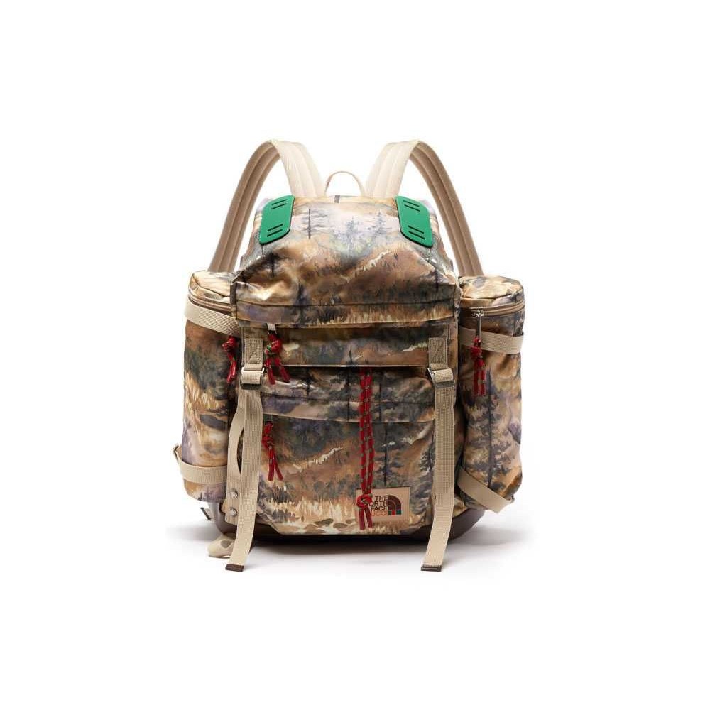 GUCCI x The North Face Landscape Print Shell Backpack Brown Unused ...
