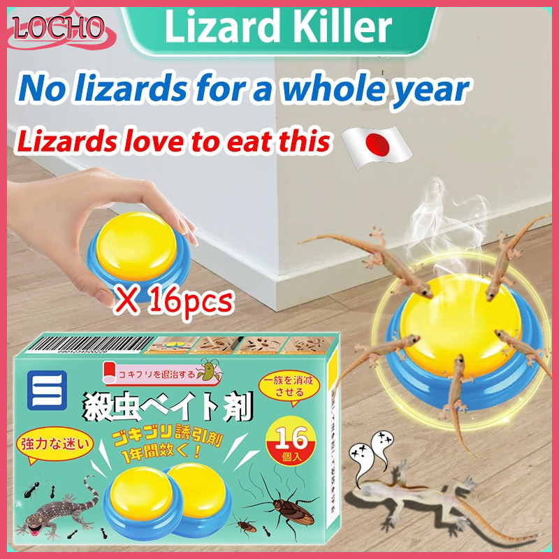 No lizards for a whole year AL lizard killer lizard repellent lizard ...