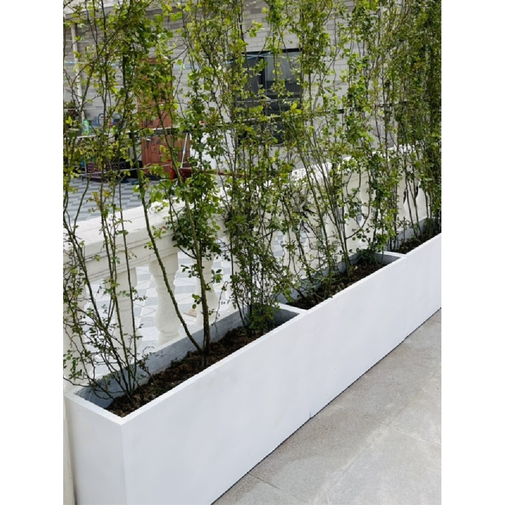 Pasu Bunga Simen Segi Empat Personaliti Kreatif Besar Nordic Mudah ...