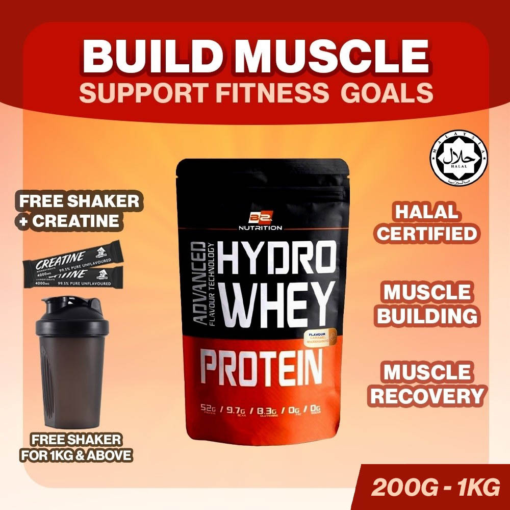 (Free Shaker+Creatine) BS Nutrition Hydro Whey Protein 200G/1KG/3KG ...