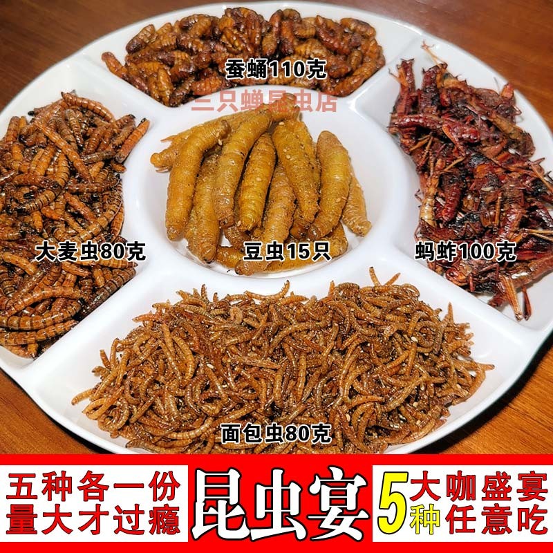 Pepijat Goreng Yunnan Pepijat Belalang Goreng Pepijat Kacang Ulat ...