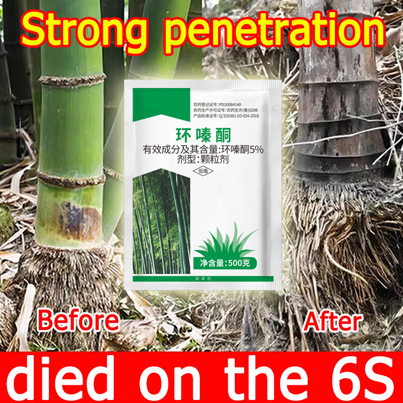 100% Effective Root Killer - Professional 500g Tree & Weed Killer with ...