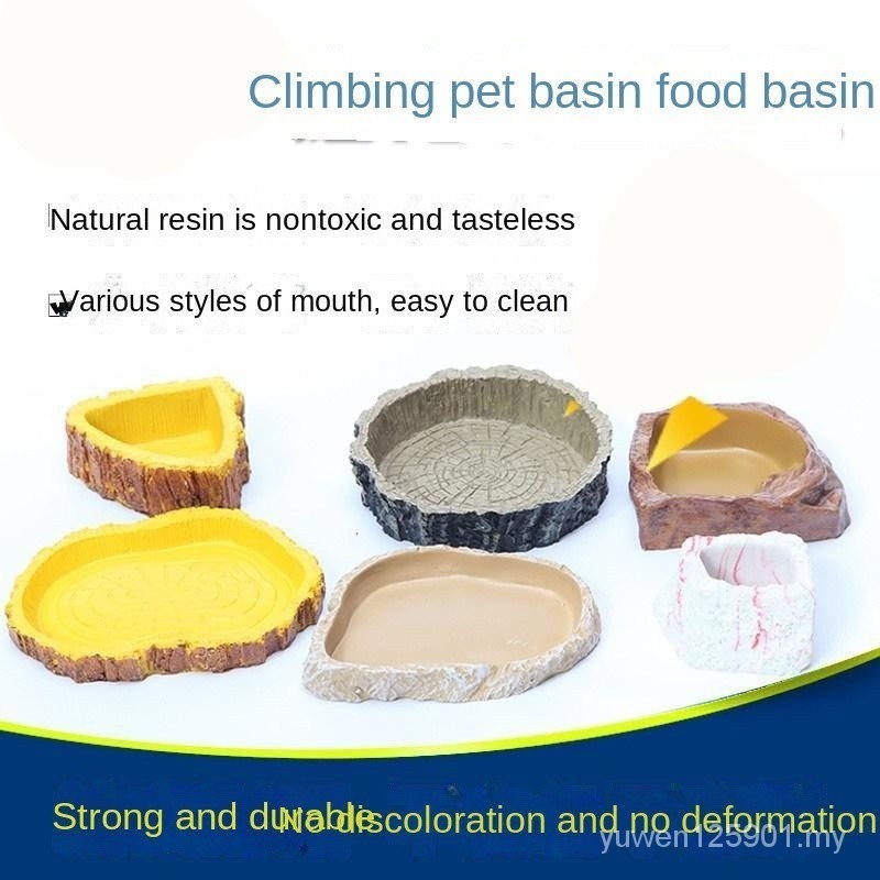 Reptile Water Basin Food Basin Tortoise Lizard Gecko Horned Frog ...