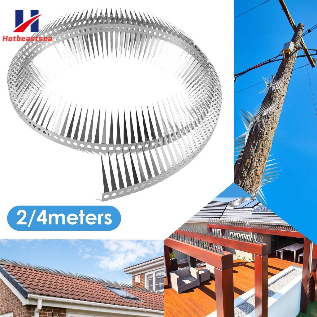 Bird Spikes 2m/4m Bird Defender Spikes Stainless Steel Bird Deterrent ...