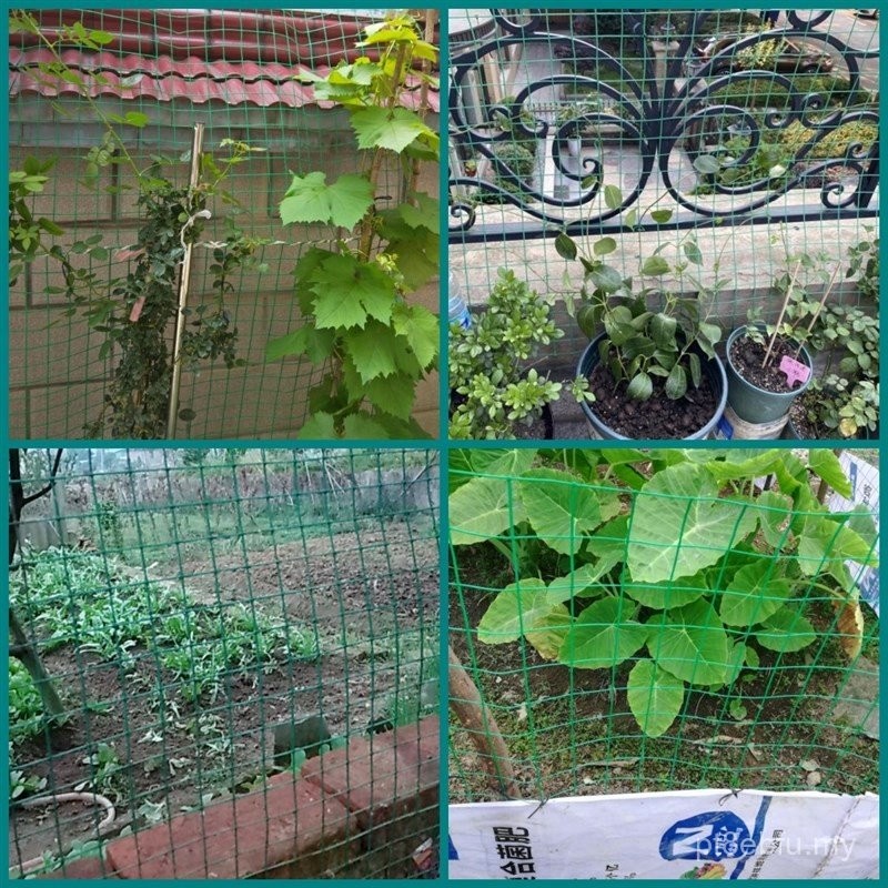 Jaring Kawat Kepungan Pagar Jaring Pengasingan Jaring Pembiakan Isi ...