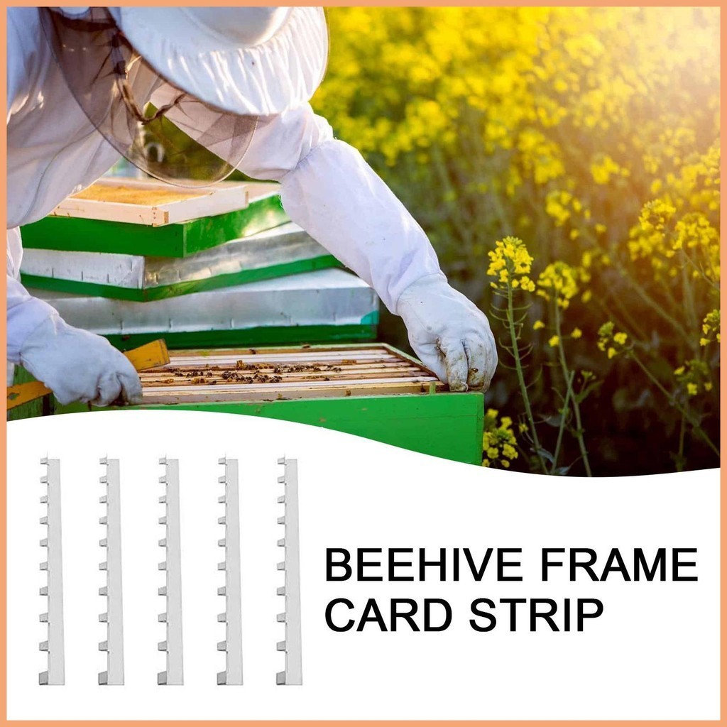 Bee Hive Frame Spacing Tool Beekeeping Tool Equipment 5-Piece Bee Hive ...