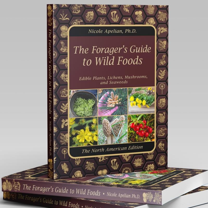 The Forager's Guide to Wild Foods | High-Quality Images & Maps for ...