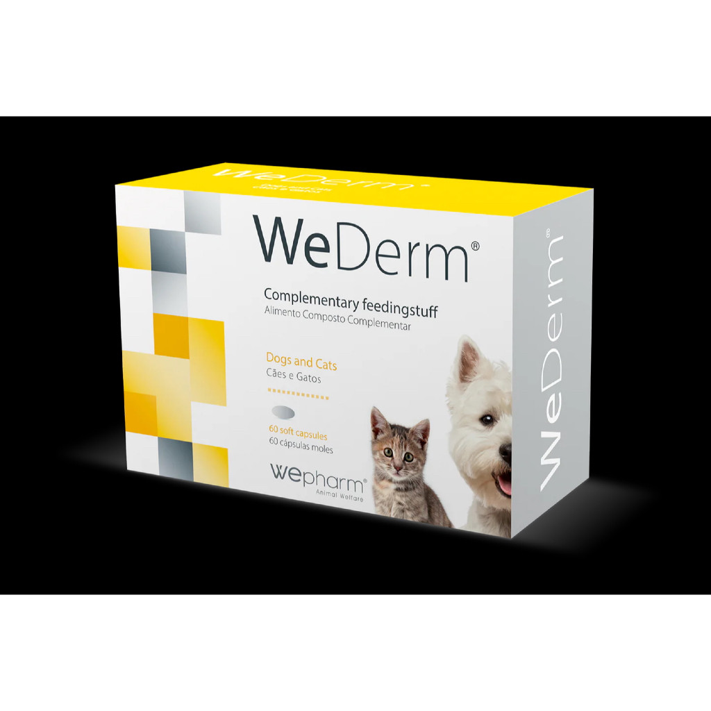 WeDerm Capsule (60 capsules) | Shopee Malaysia