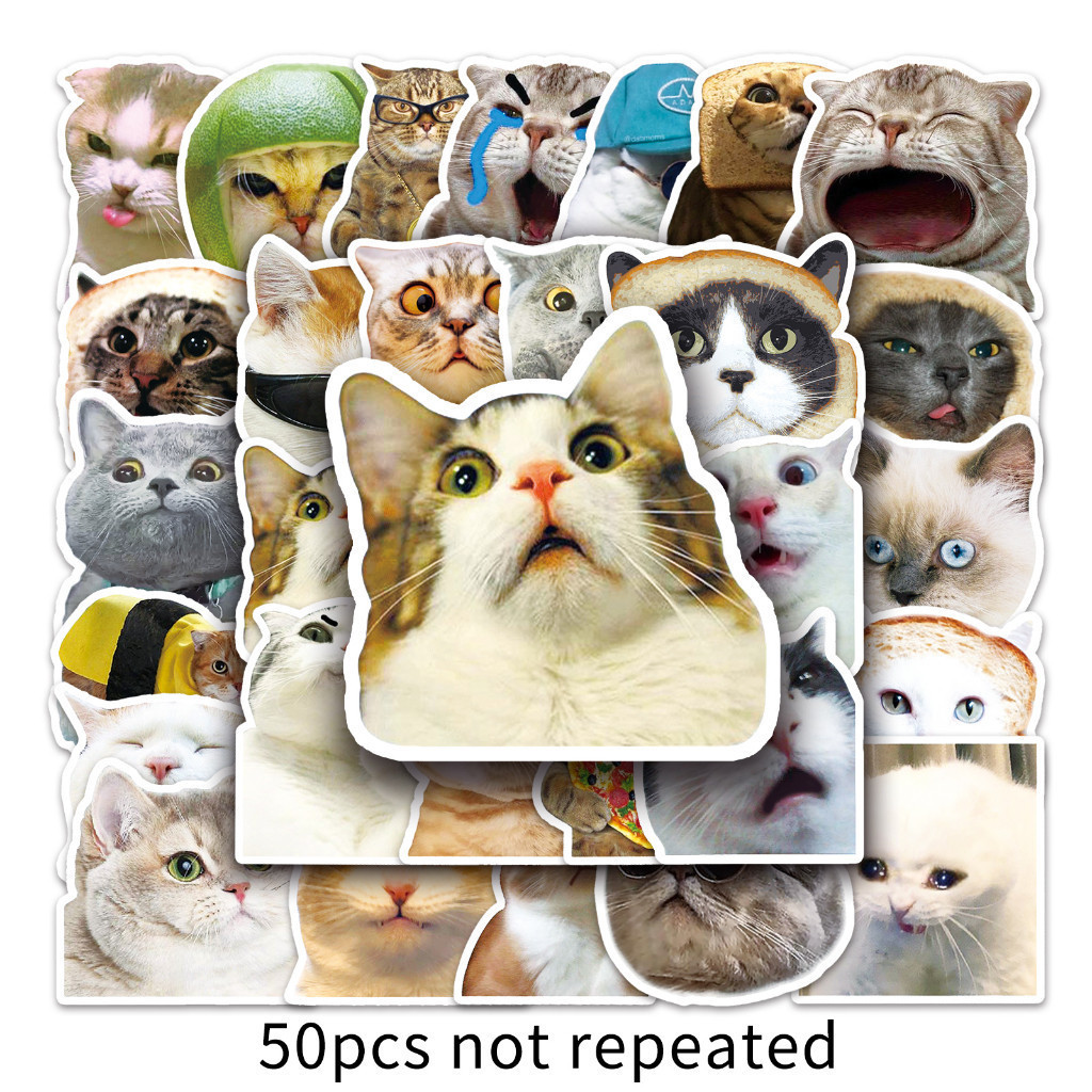 Store Ainna Rawak 10/50 Piece Funny Cat DIY pelekat Motor kreatif ...