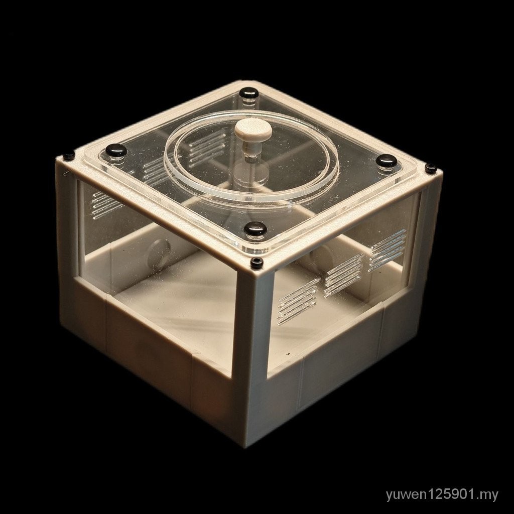 Activity Area Module Ant House Multi-Expansion Hole Flat 3D Acrylic ...