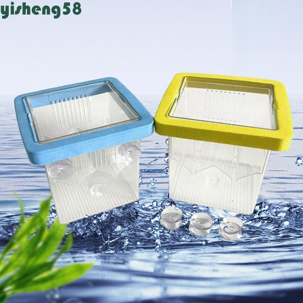 YISHENG Floating Fish Breeding Box, Adjustable Clear Aquarium Fish ...