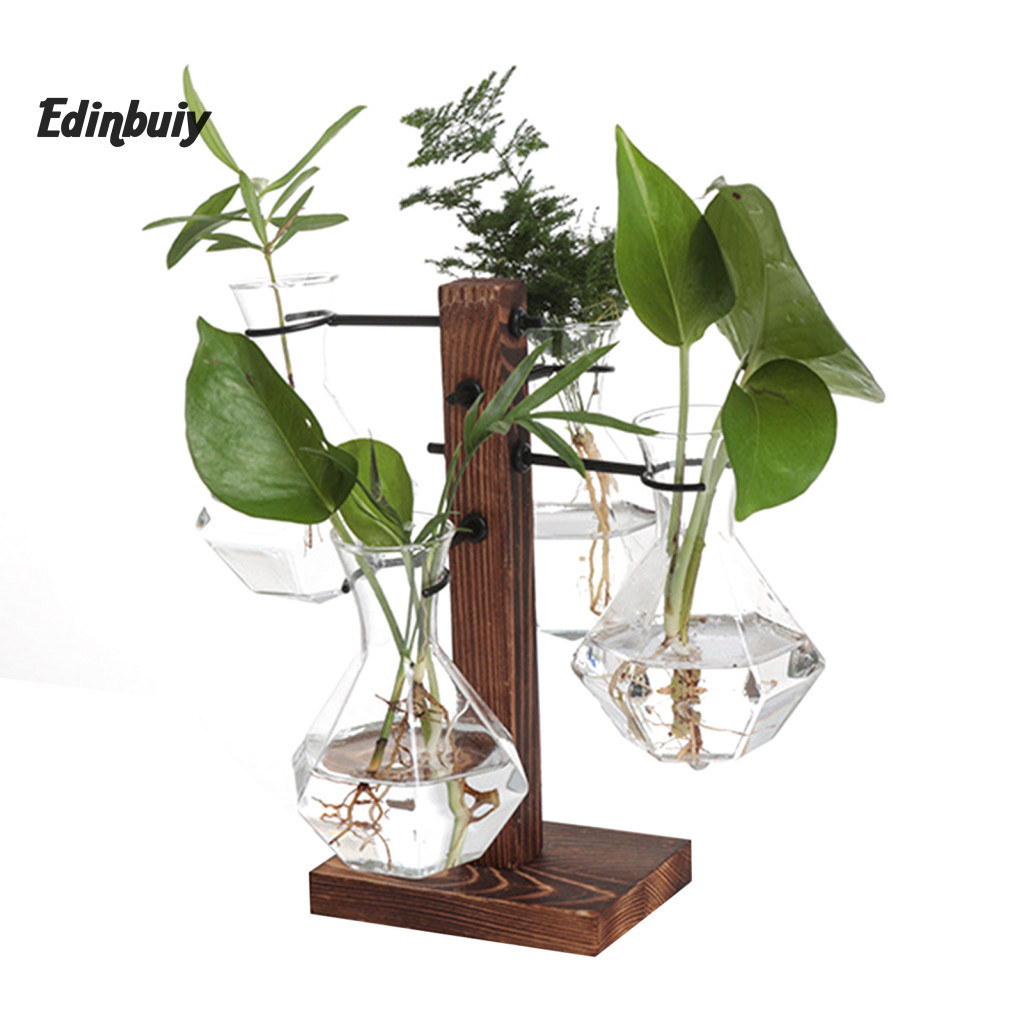 EDI Plant Hangers with Vases Borosilicate Glass Vase Indoor Plant ...