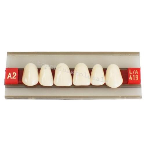 Teeth Anterior teeth A2 Acrylic Resin Denture | Shopee Malaysia