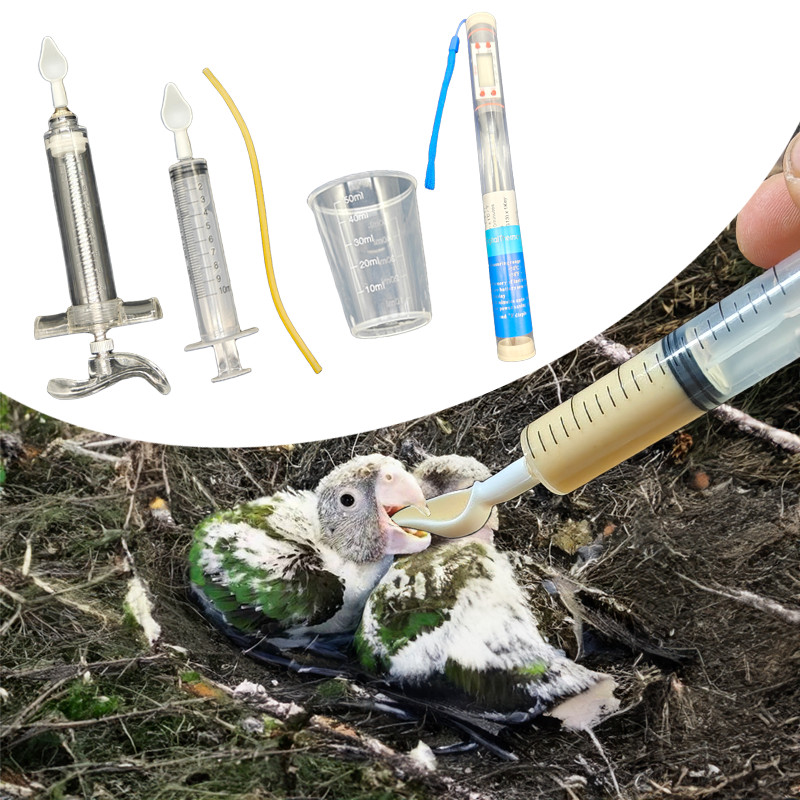 Parrot Feeding Feeding Spoon Syringe Hose Tool Young Bird | Shopee Malaysia