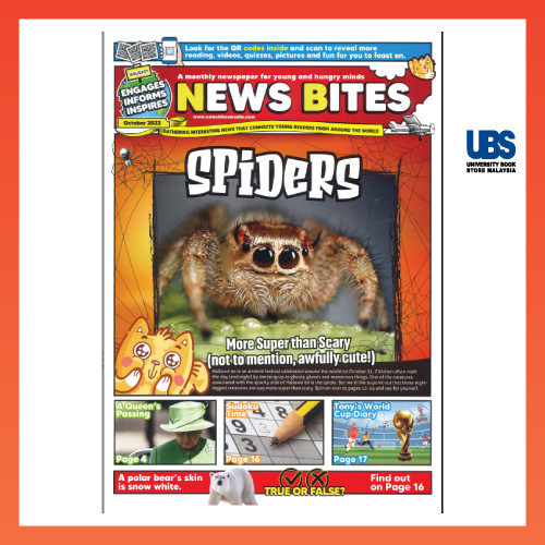 News Bites 37: Spiders (Newspaper for Kids & Teens) | Shopee Malaysia