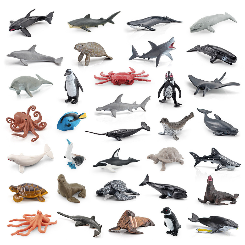Simulation Sea Animal Model Children Cognitive Whale Shark Walrus Crab ...