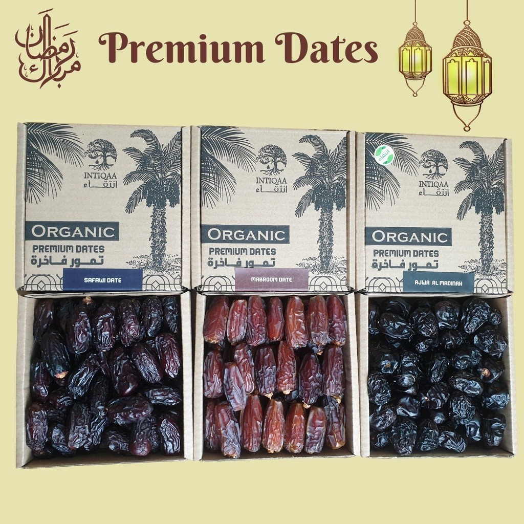(kurma segar) (500g) Premium Kurma Dates AJWA Al Madina | MABROOM ...