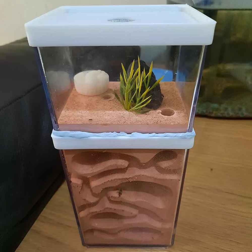 Highly Moisturizing Ant Farm Plaster Ant Nest Insect Box with Workshop ...