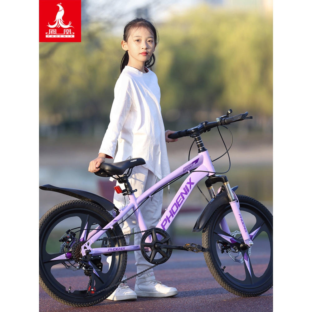 Basikal Kanak-Kanak Phoenix untuk Perempuan Berumur 6 hingga 12 Tahun ...