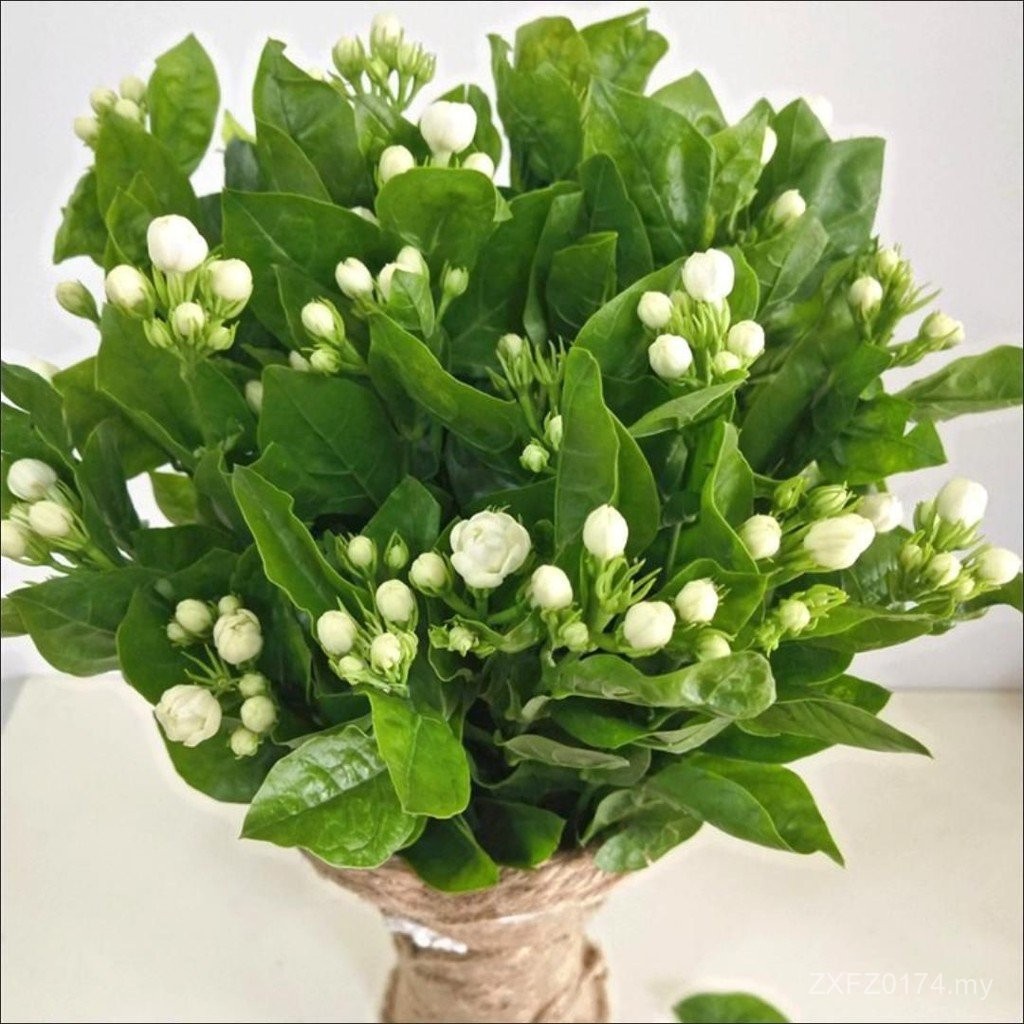 Flower Period Mix Match Red Bouquet W4V4 | Shopee Malaysia