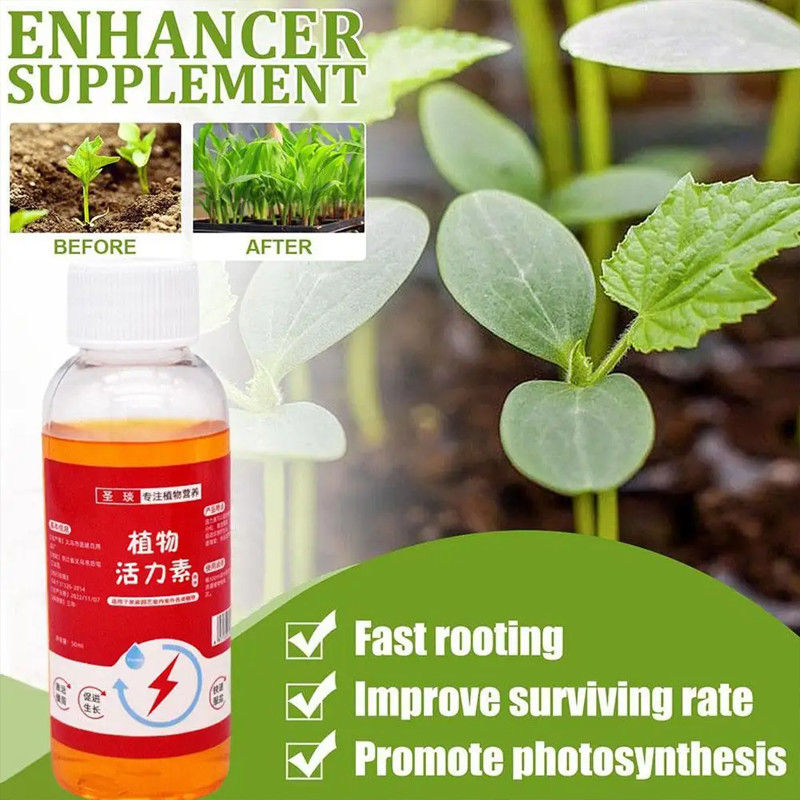 50ml Flower Plant Hormone Promotes Budding Flower-like Green Roots ...