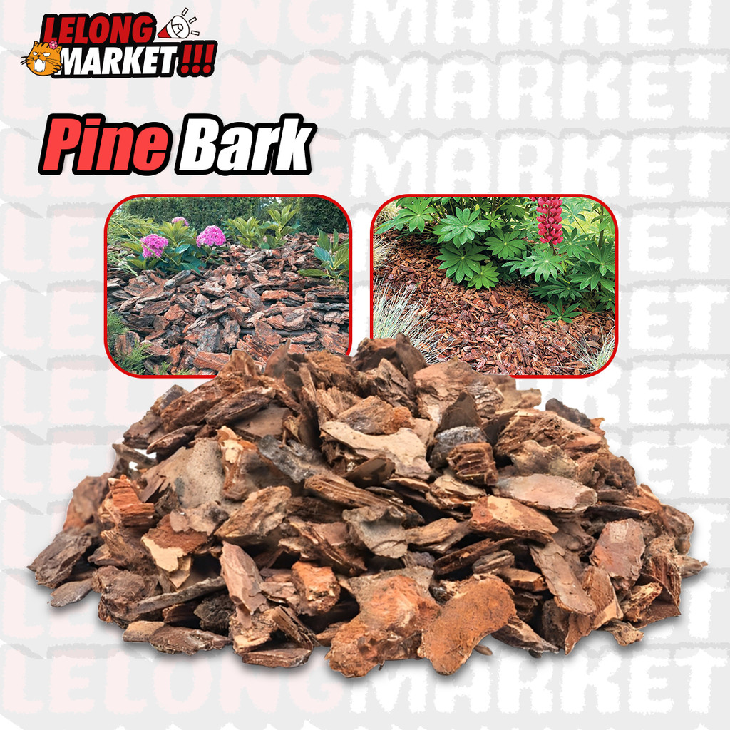 Murch Pine Bark 5 Liter Pine Scale Orchid potting Pine Bark Kulit Kayu ...