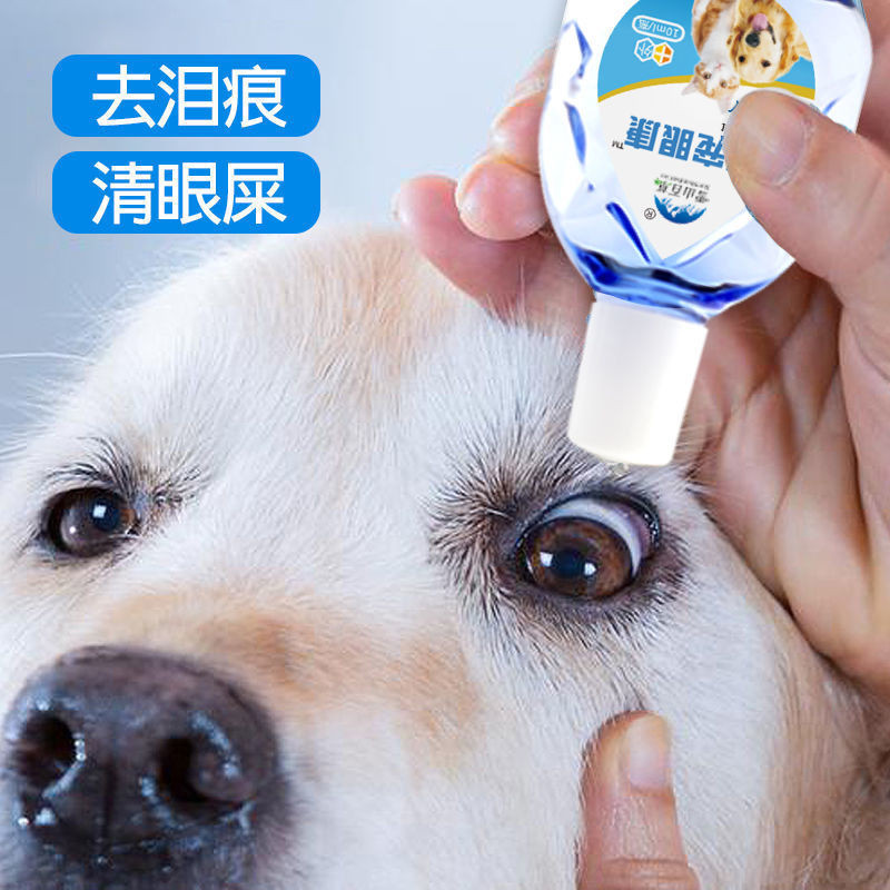 [50,000 People Praise] Pet Medicine Cat Drops Eye Drops for Dogs Cats ...