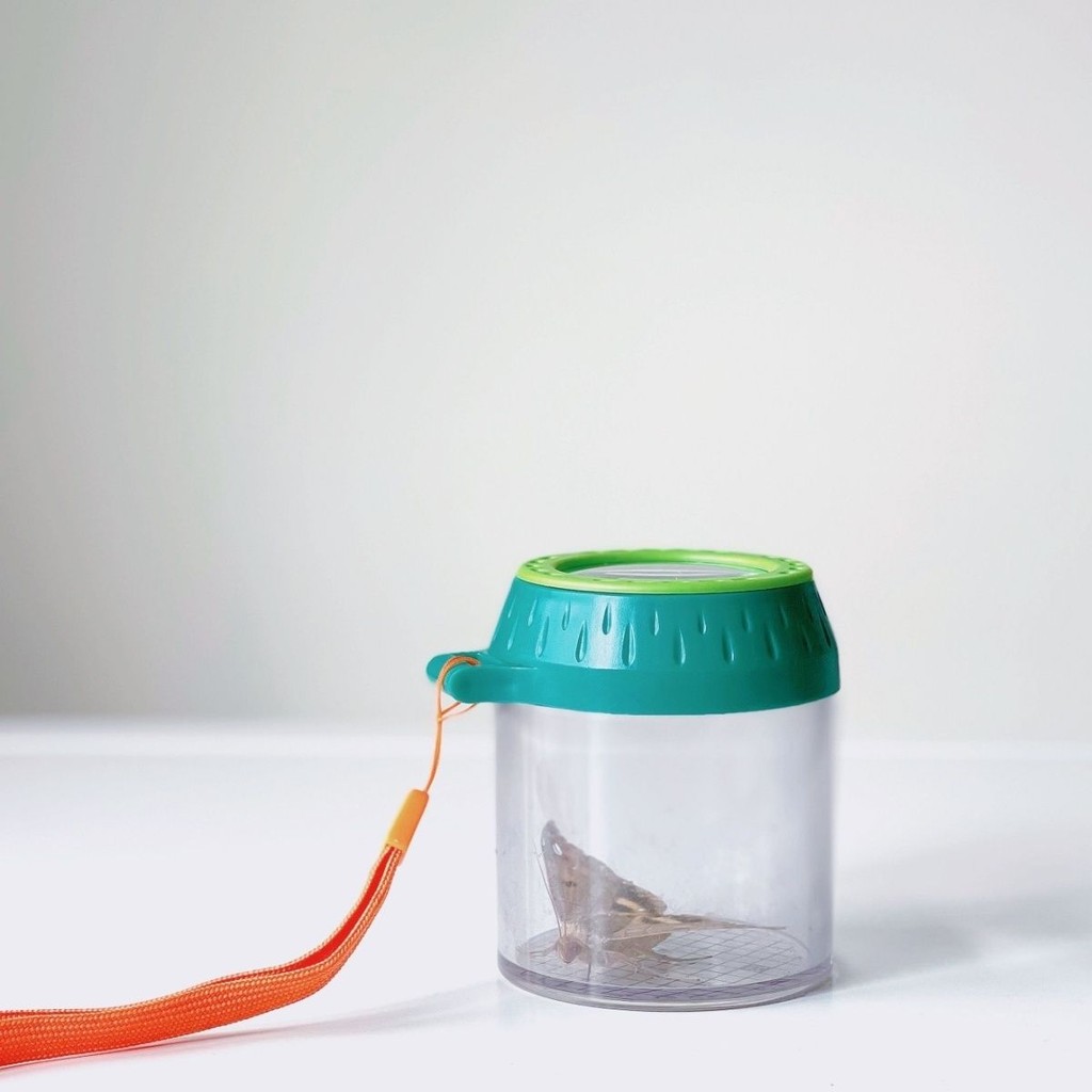Hape Insect Observation Tank Children Science Elementary School Parent ...