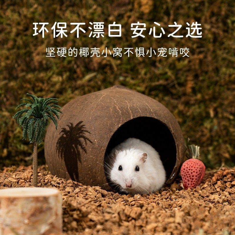 Hamster Nest Coconut Shell Hide House Golden Bear Coconut Shell Hide ...