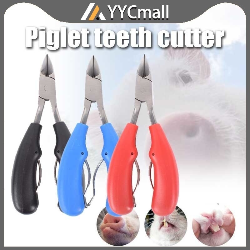 Stainless Steel Piglet Teeth Cutter Pig Tooth Nipper Piglet Broken ...